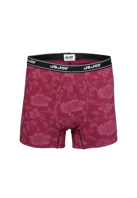 J&JOY - Pack of 2 burgundy and khaki vegetable boxers for men